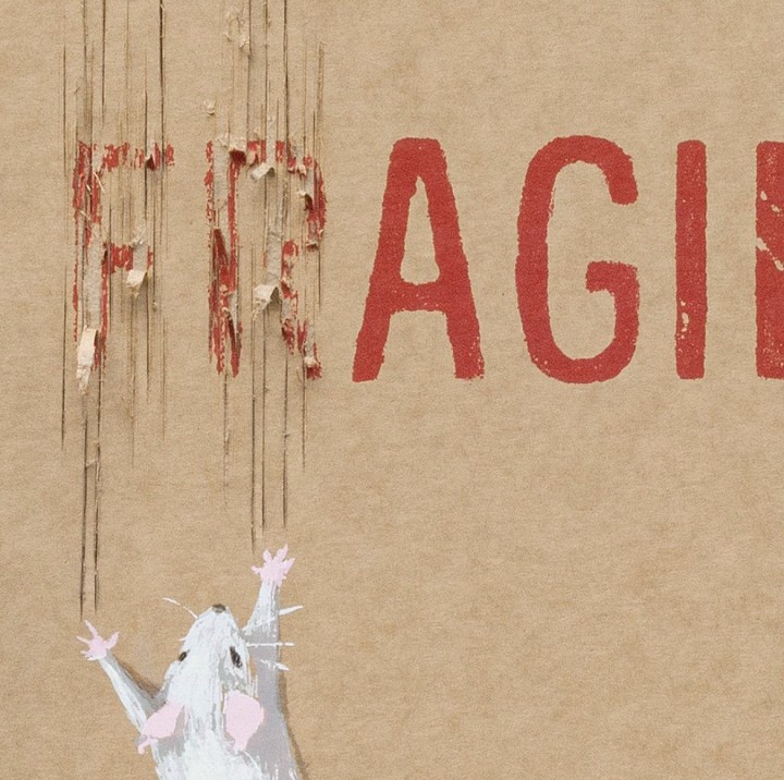 Prints – Banksy unofficial