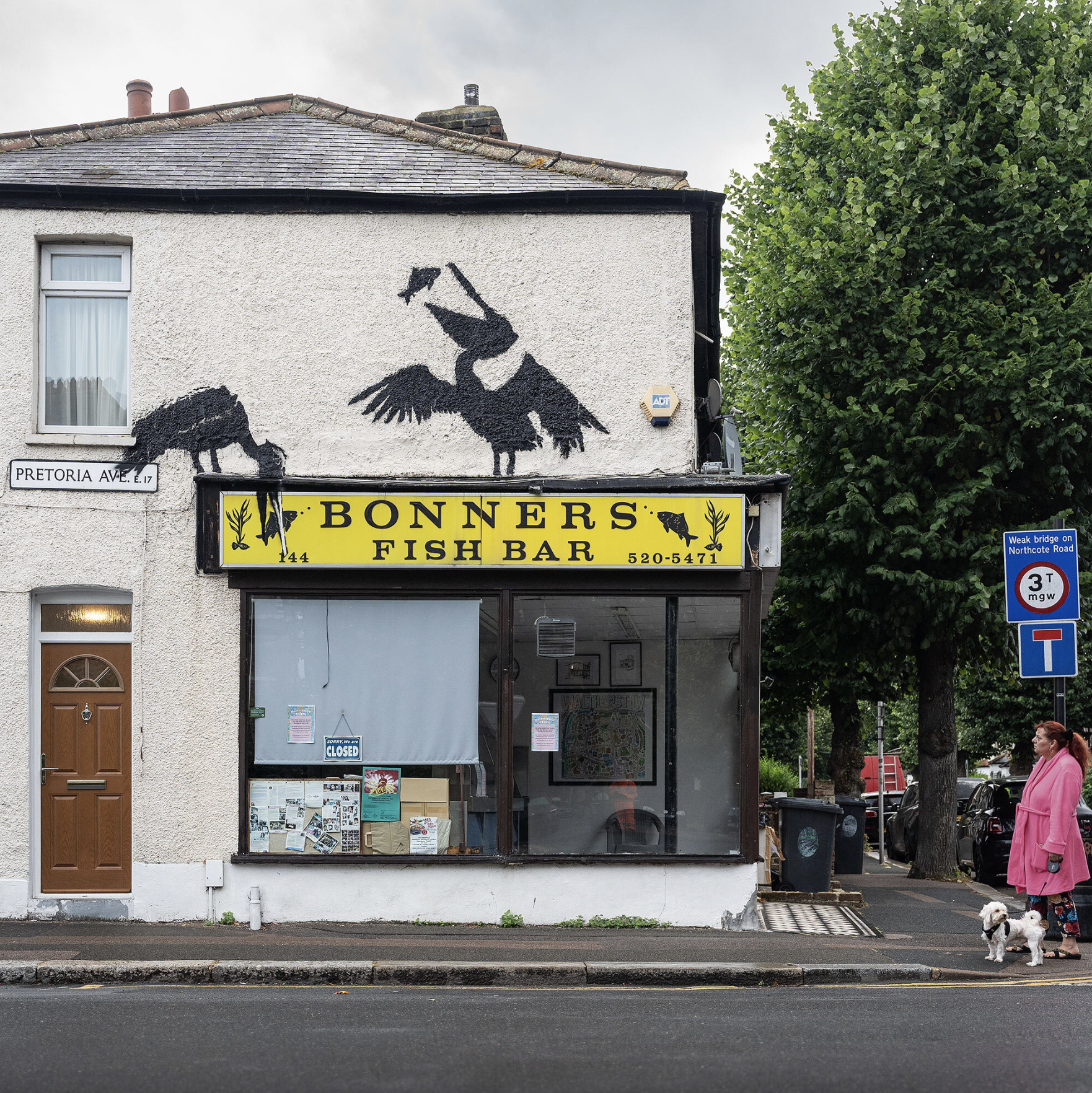 Day 5 of London residency: two pelicans in northern London. 9 August ...